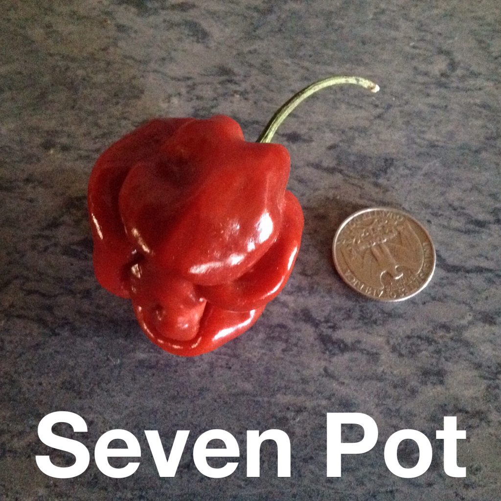 Seven Pot Red - The Chile Shop
